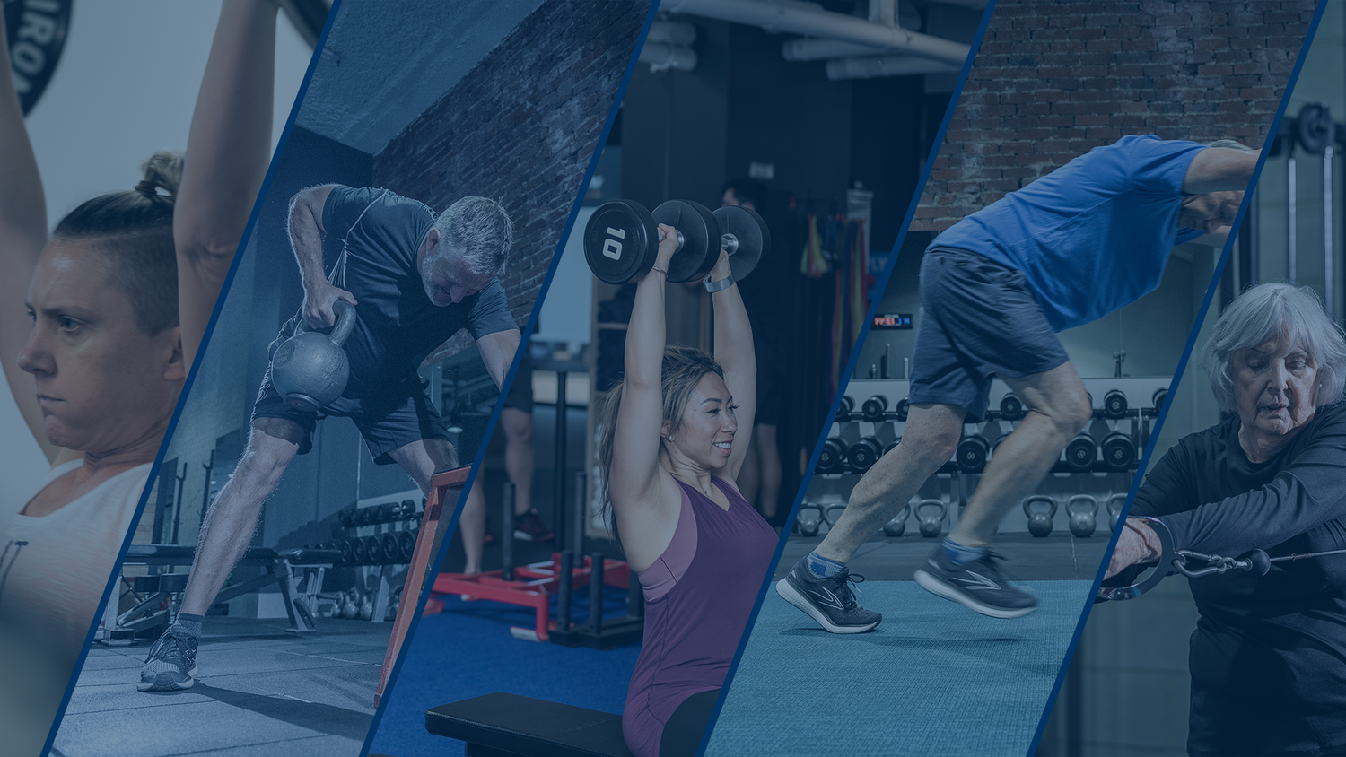 Absolute Health & Performance | Private Personal Training Melbourne ...
