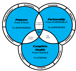 Private Personal Training & Allied Health | Absolute Health ...