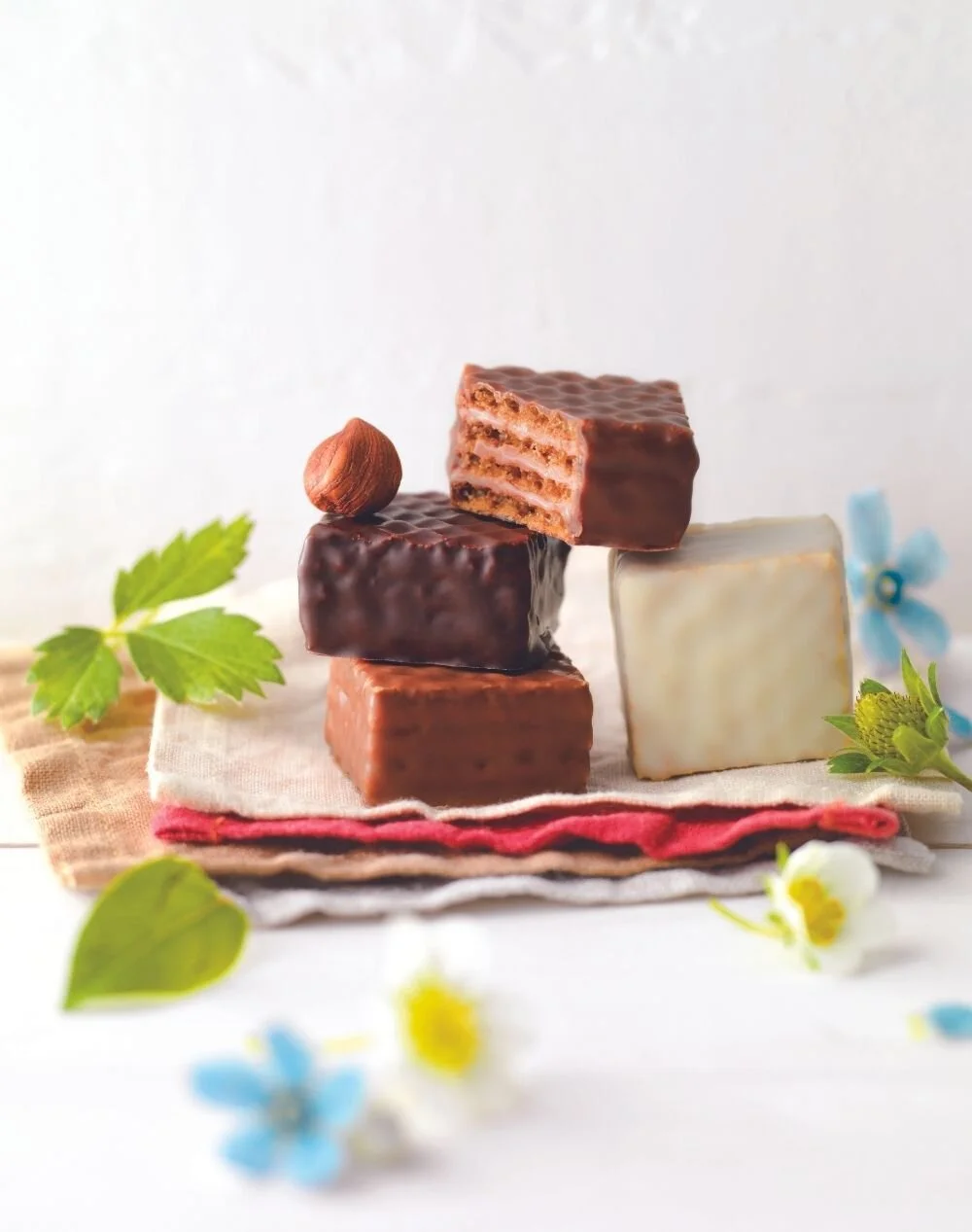 About — Burgundy Brand Collective