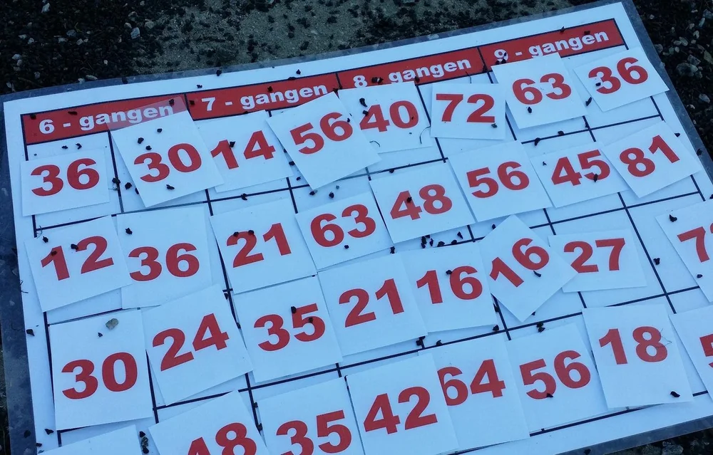 Multiplication Relay Race — Nova Scotia ASK