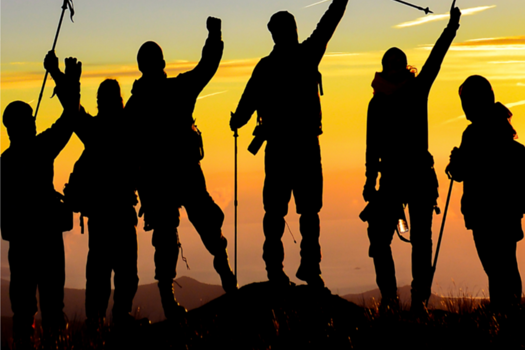 What We Do — Pioneer Leadership Ltd