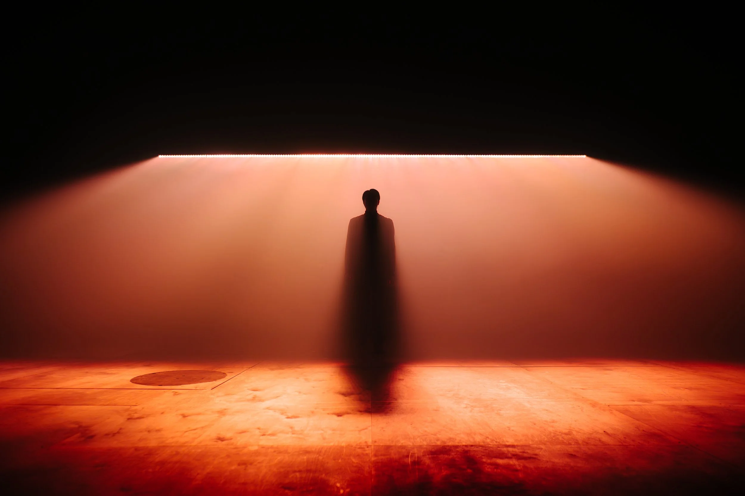 Confessions of a Shinagawa Monkey — Vanishing Point