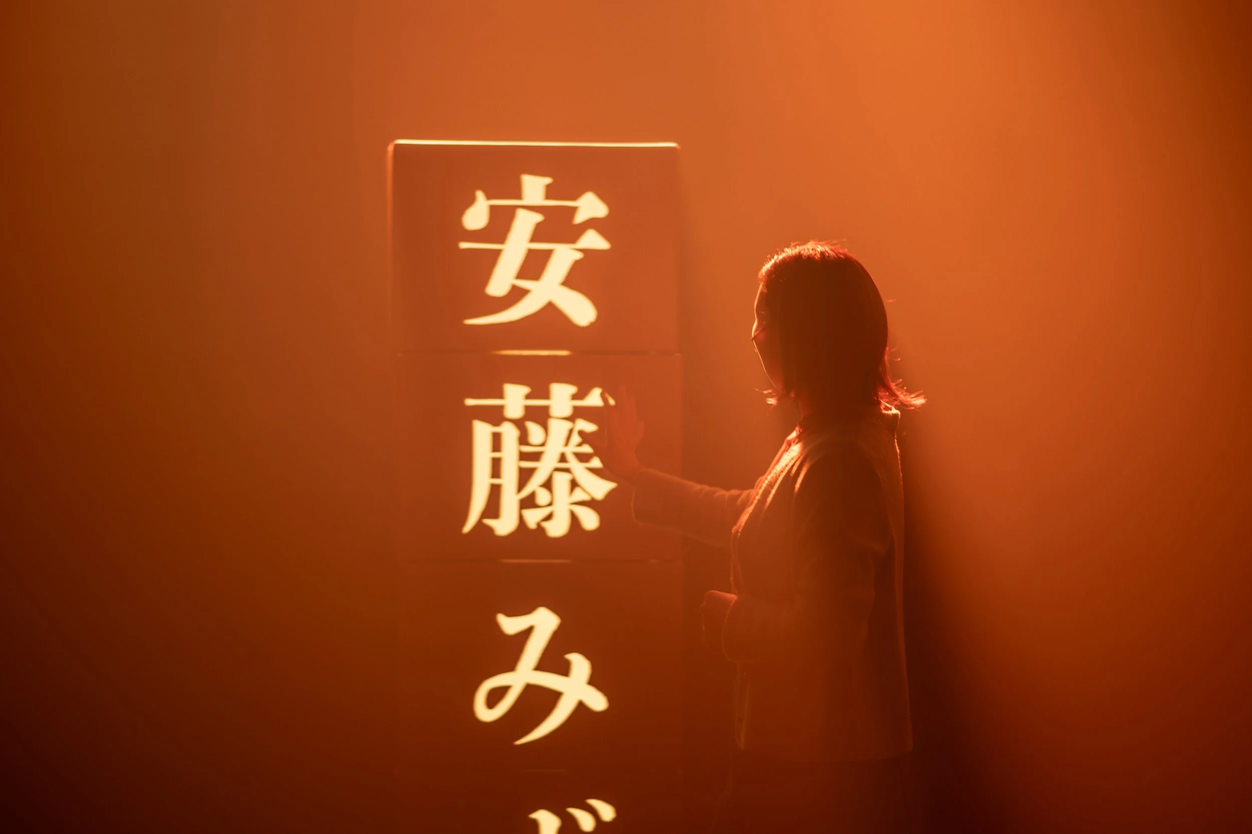 Confessions of a Shinagawa Monkey — Vanishing Point