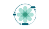 System Mapping Toolkit & Training