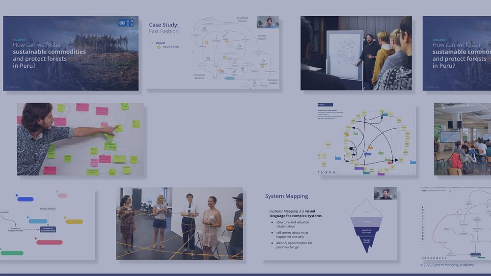 System Mapping Toolkit & Training