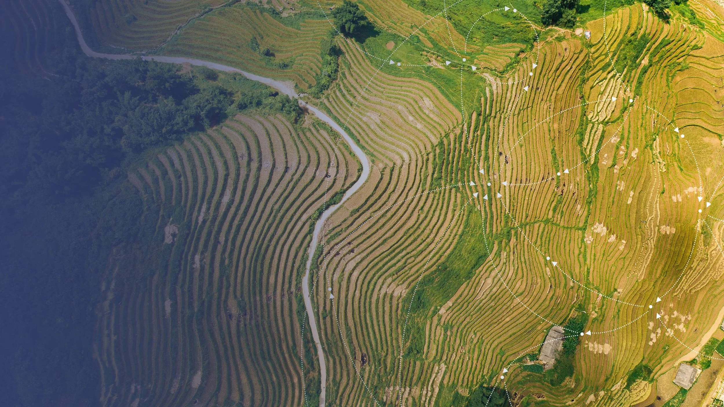 System Mapping Toolkit & Training