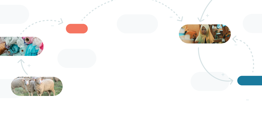 System Mapping Toolkit & Training
