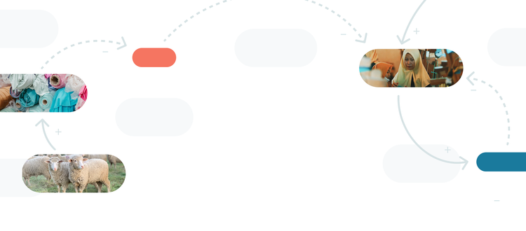 System Mapping Toolkit & Training