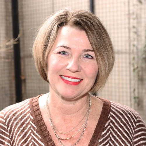 The Team — Diversion Hub