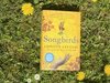 Songbirds by Christy Lefteri — Review | BookShelf Discovery ...