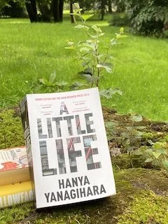 A Little Life by Hanya Yanagihara — Review | BookShelf Discovery ...