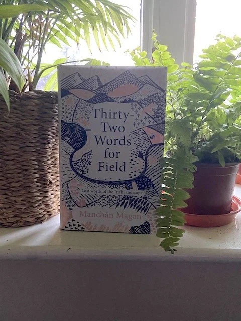 Book Review - Manchán Magan - 32 words for Field - Lost words of the ...