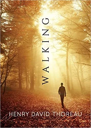 Best Books about Walking — BookShelfDiscovery