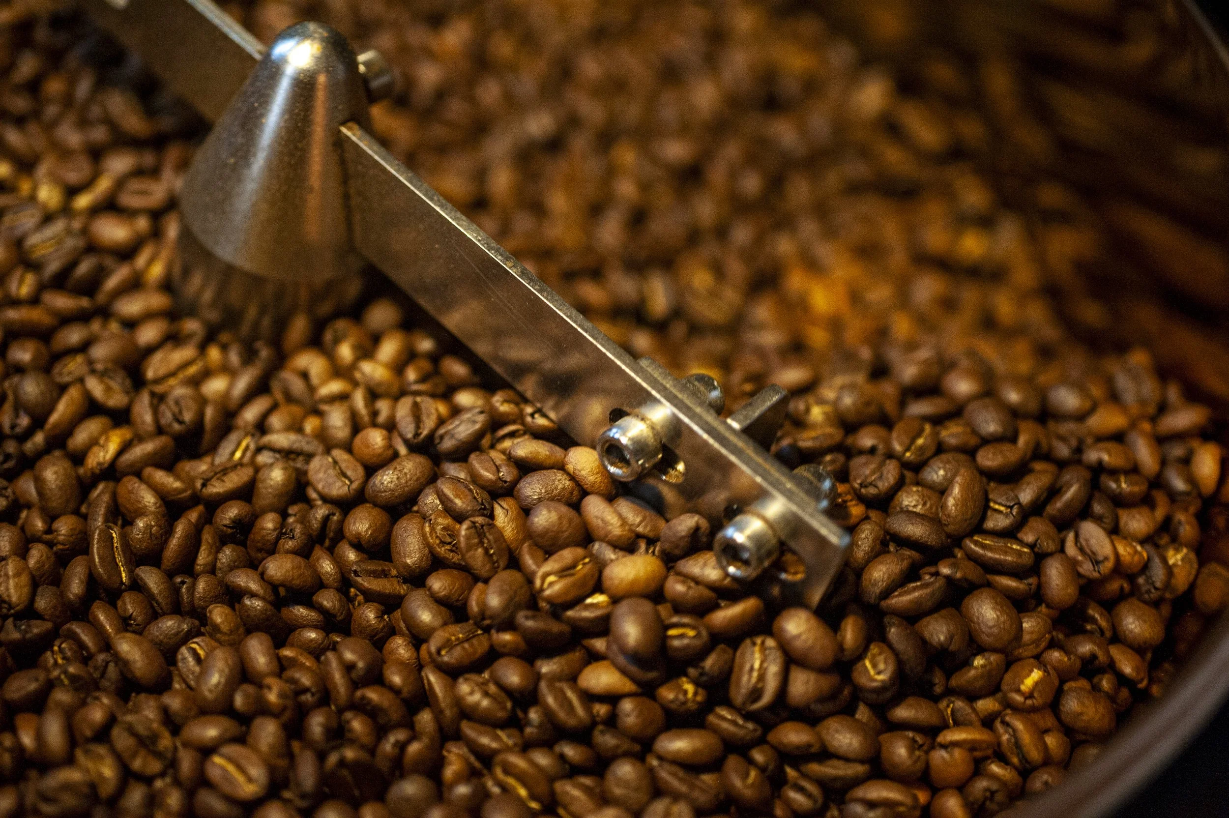 Shop — Deveroast Coffee