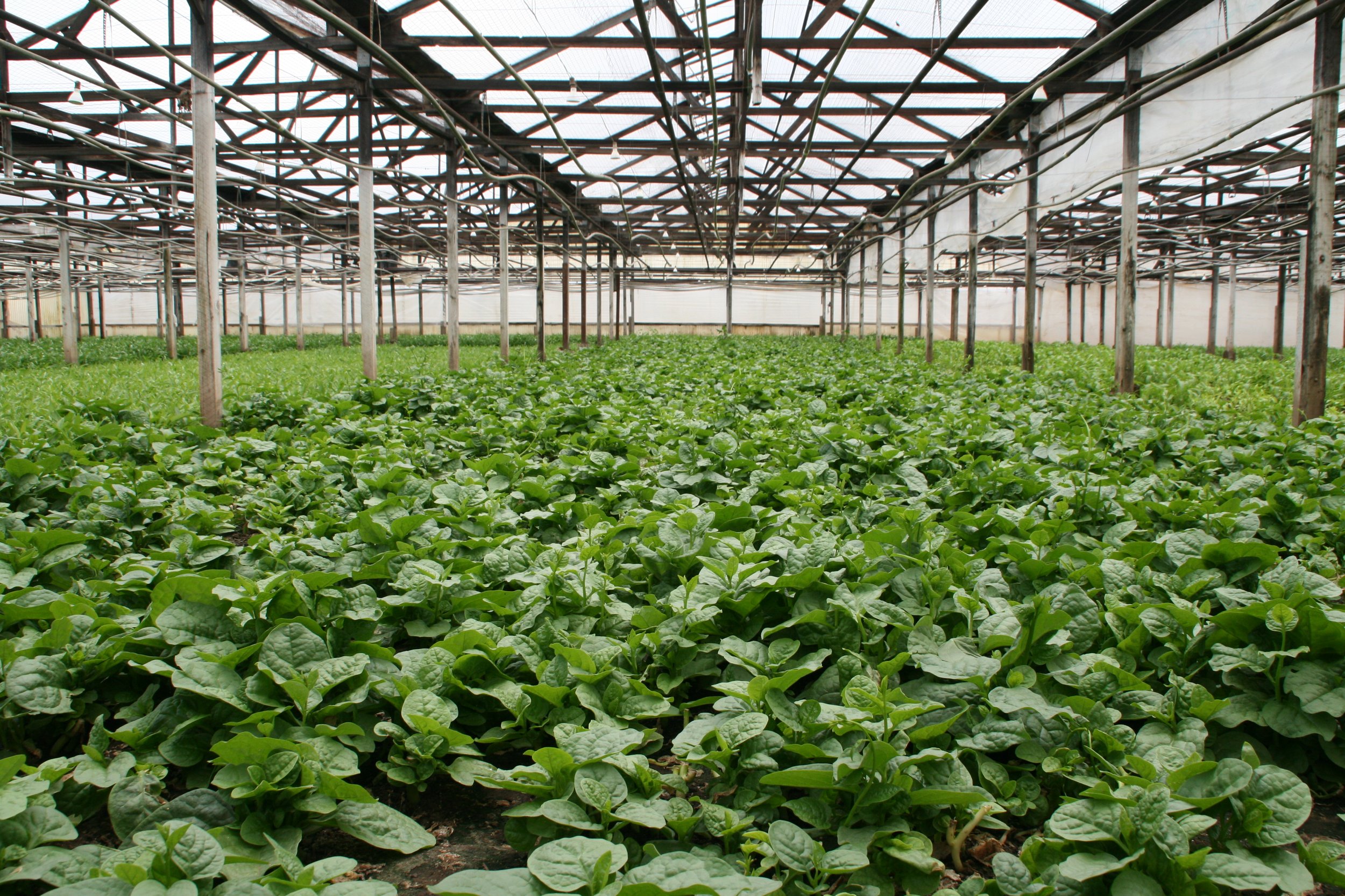 About Us — Central Coast Farms