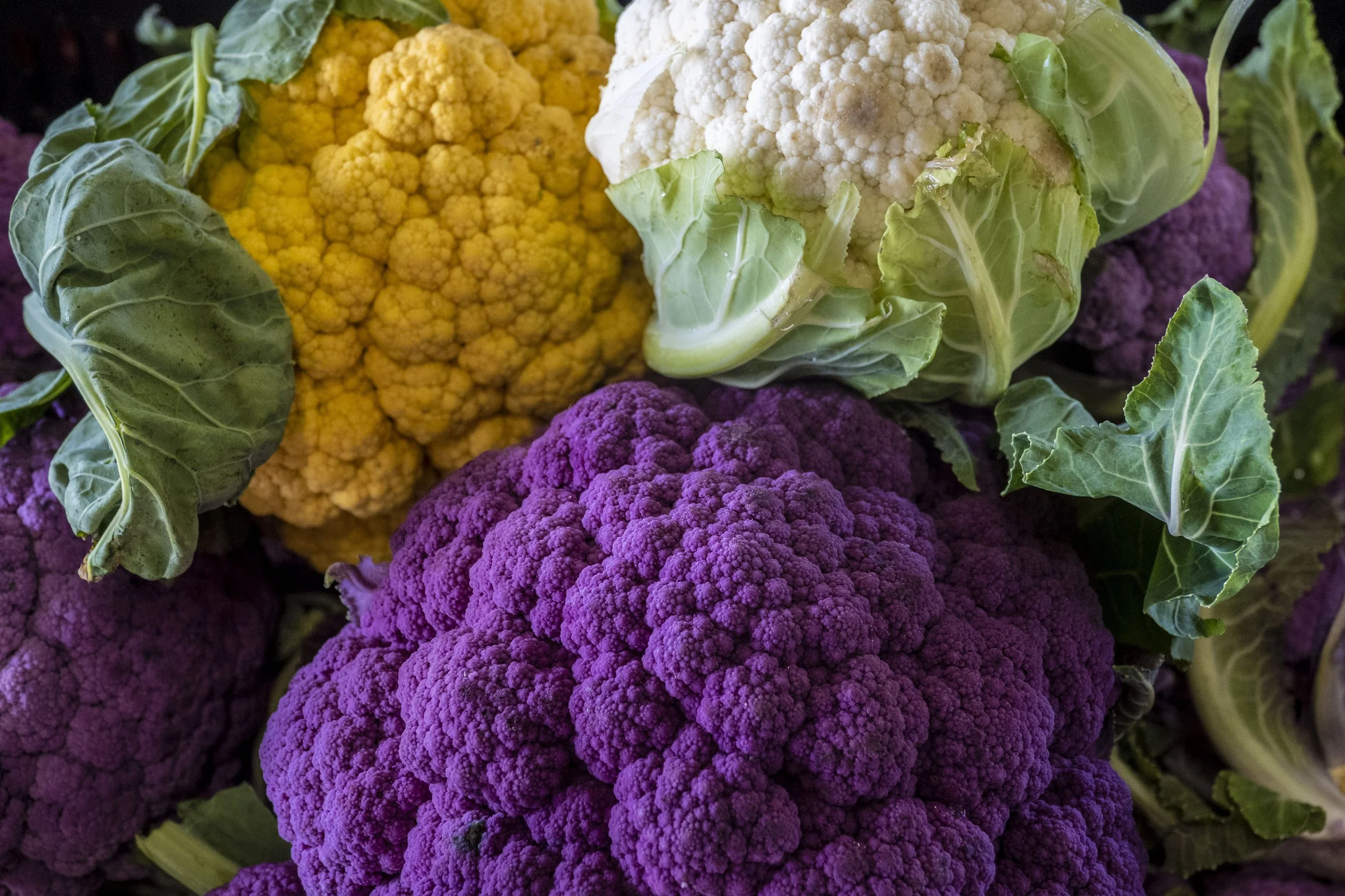 Flooding - Produce Safety Resources — Central Coast Farms