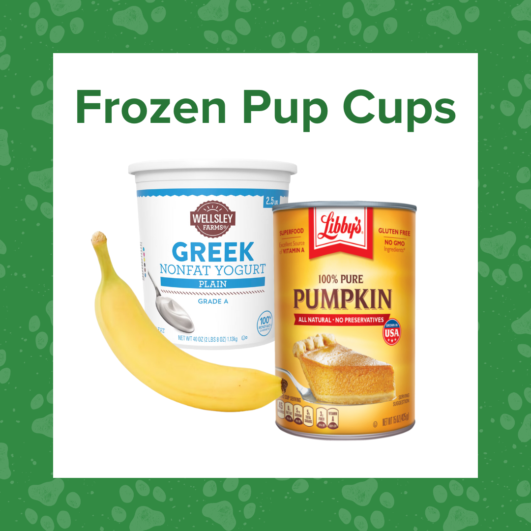 Keep Your Dog Cool and Happy with This Fun Pup Cup Recipe for Hot Days ...