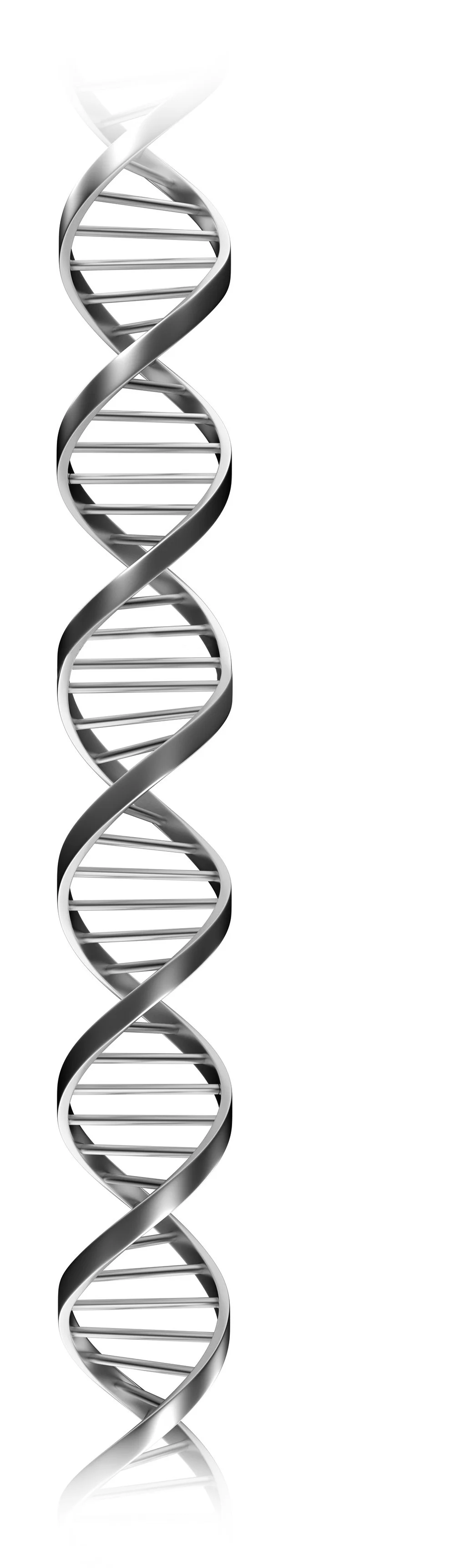 Research & Publications — Odze Pathology