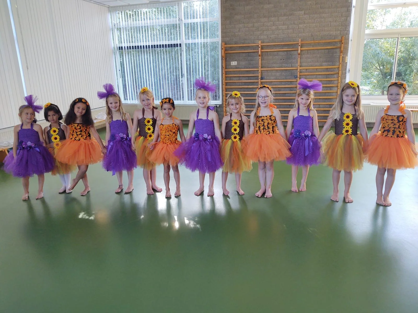 Maasland - Vlaardingse Ballet en Dansschool