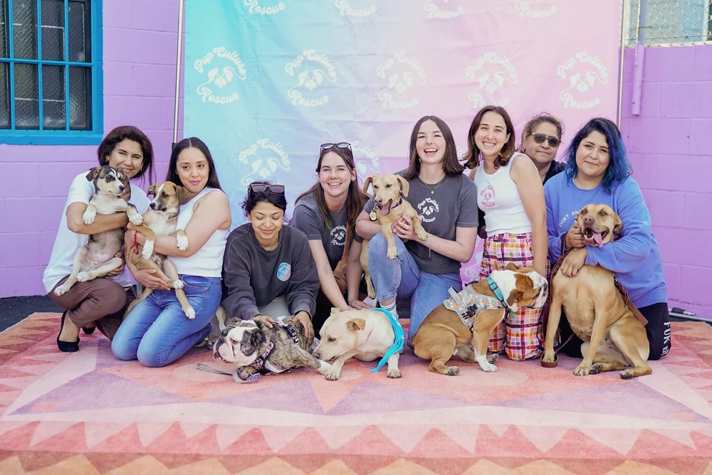 About — Pup Culture Dog Rescue