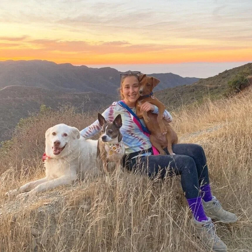 About — Pup Culture Dog Rescue