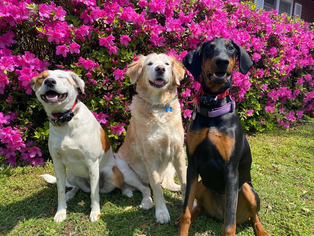 About Us | Wilmington Electrician | Unlimited License