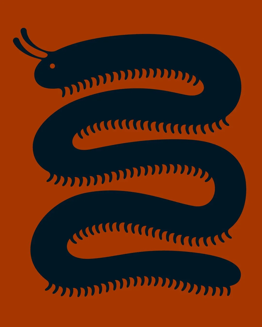Bio-adversity: Animalia — Annika McFarlane