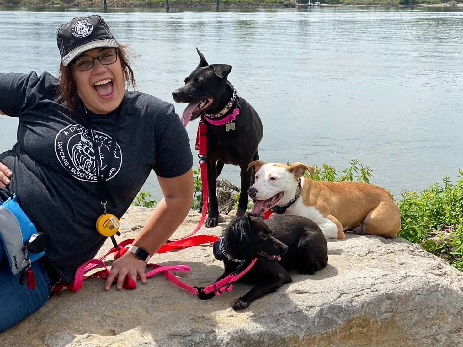 Highly Trained & Dog-Loving Staff — A Dog's Best Friend