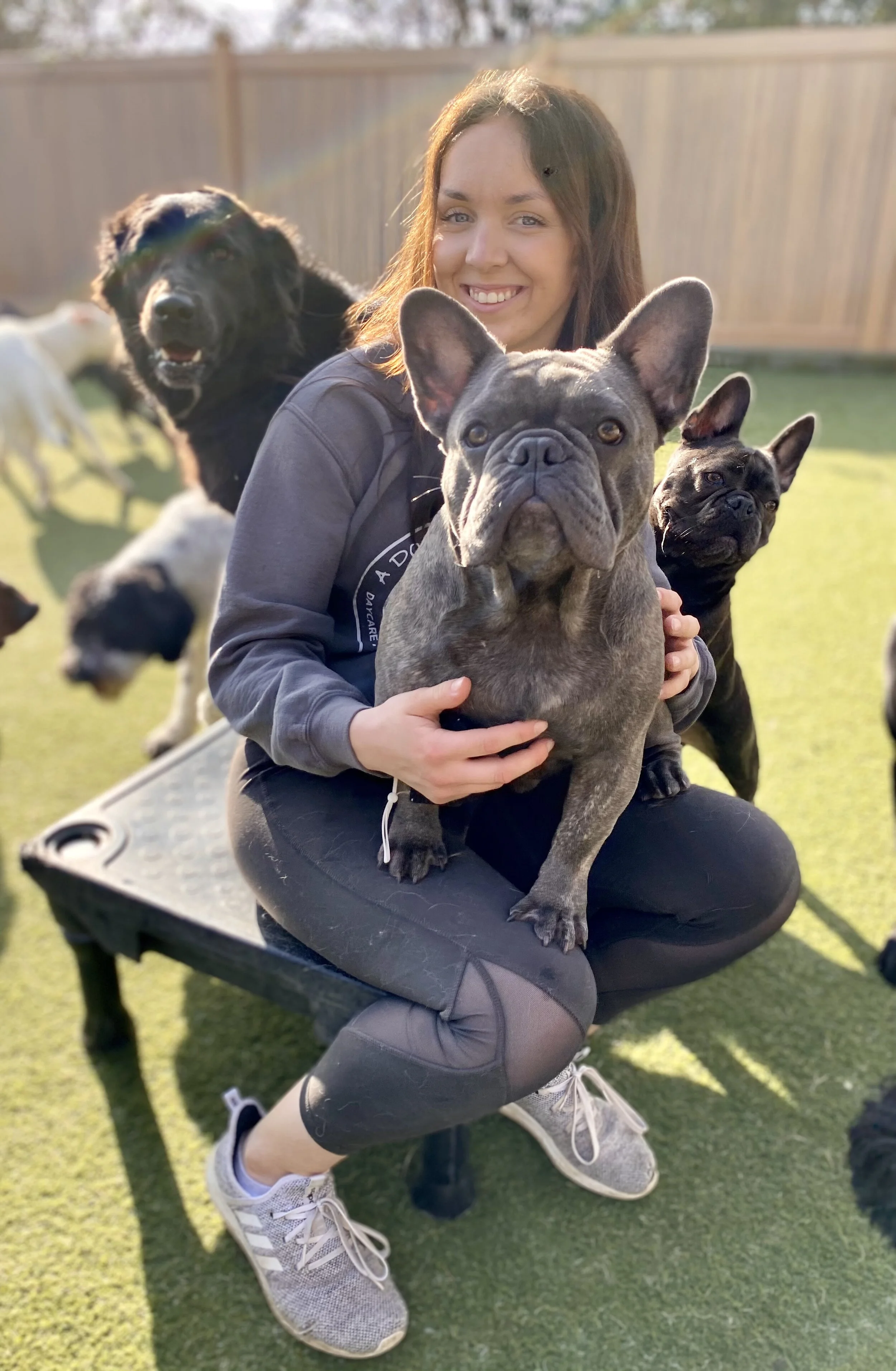 Highly Trained & Dog-Loving Staff — A Dog's Best Friend