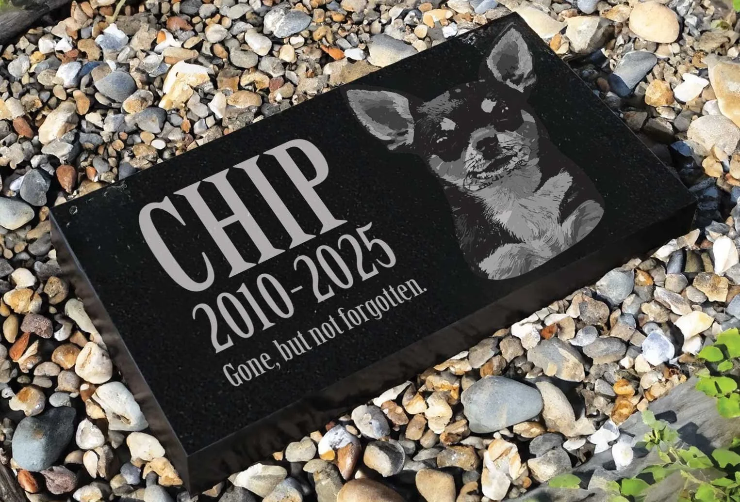 Dog Memorial Ideas — A Dog's Best Friend