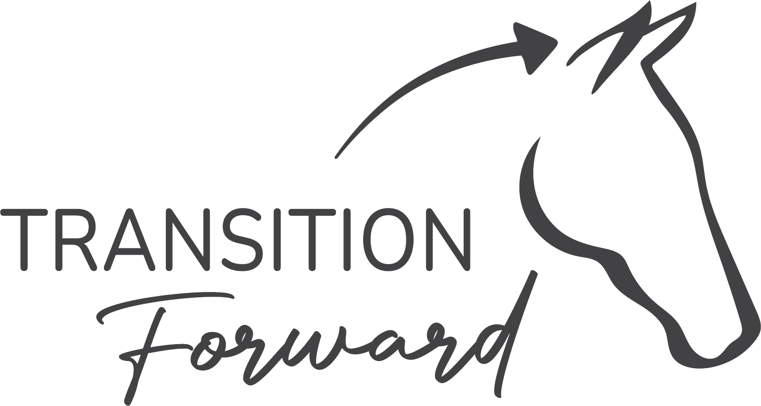 Transition Forward Workshops — Scott + Lindee McNaughton