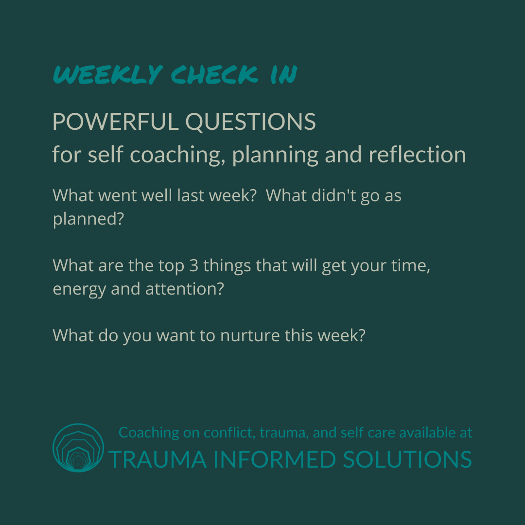 7/4/2022 Weekly Check In — Trauma Informed Solutions