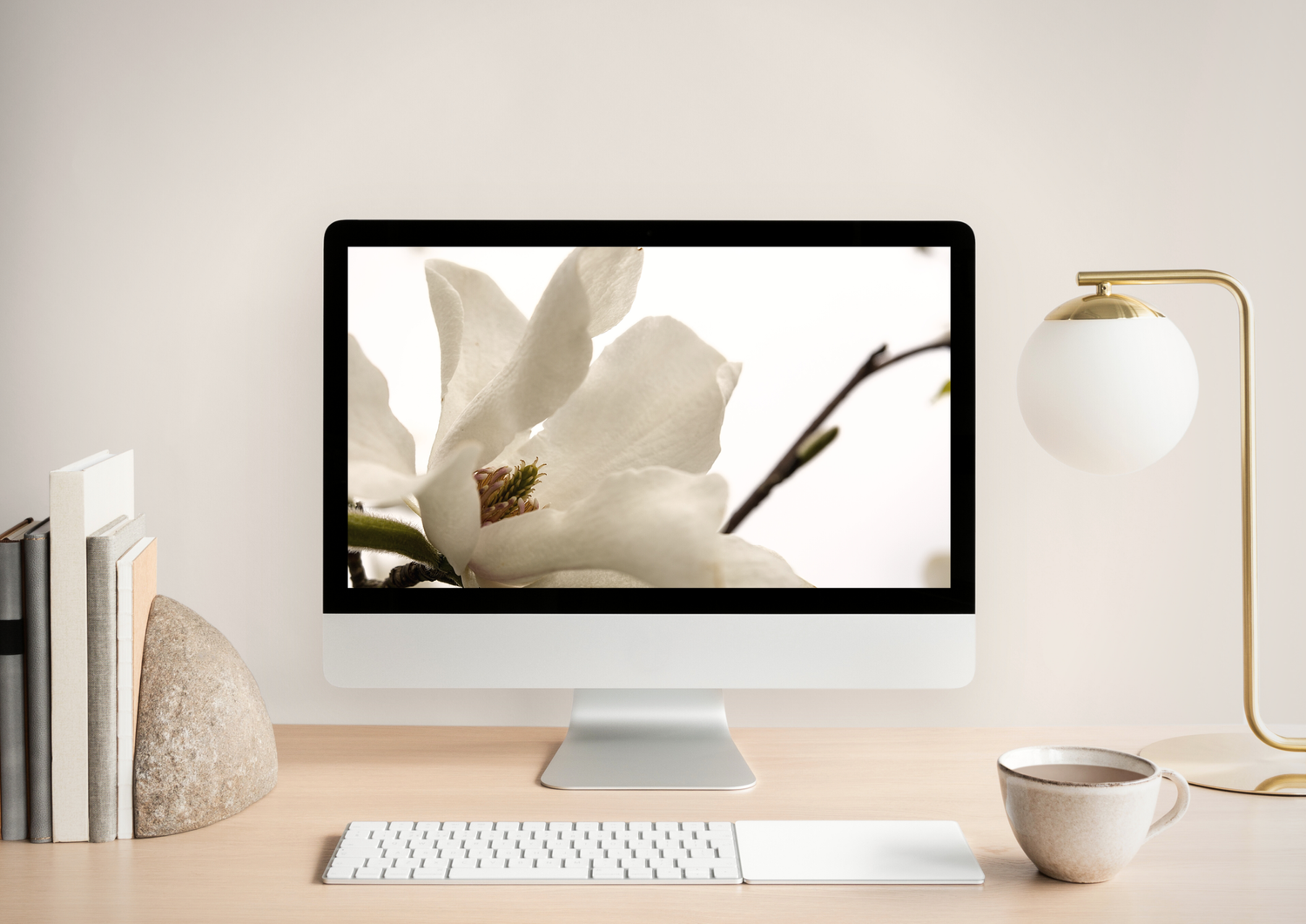 Catherine Chilton Virtual Assistant