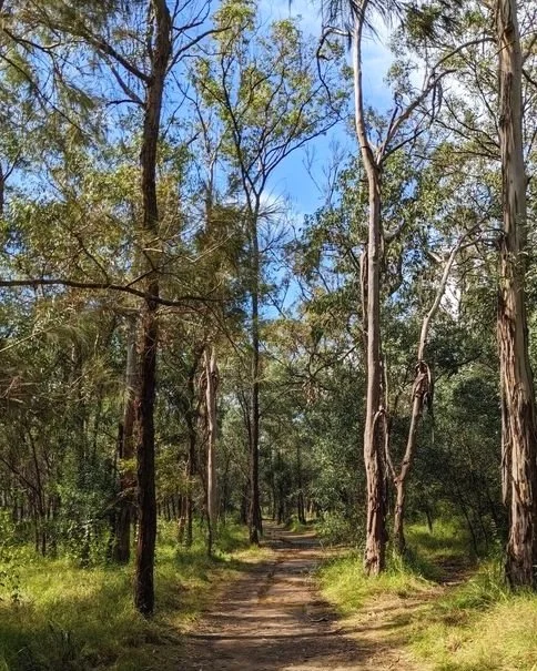 Building Sustainability in Occupational Therapy Through Nature-Based ...