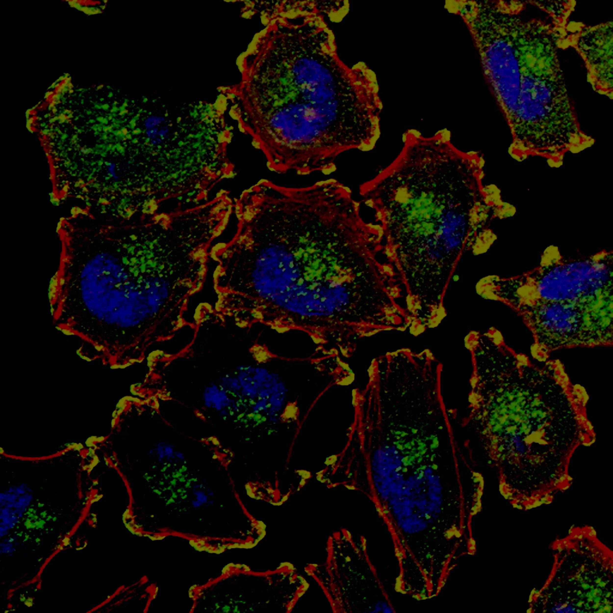 Our Story — Decisive Consulting Ltd