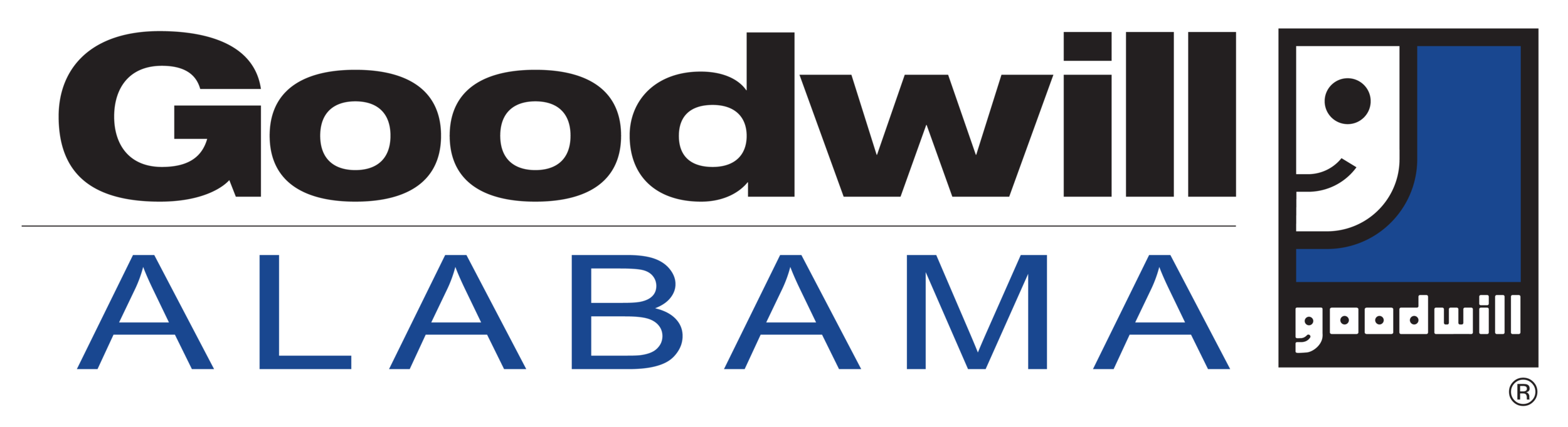 Goodwill Store Logo