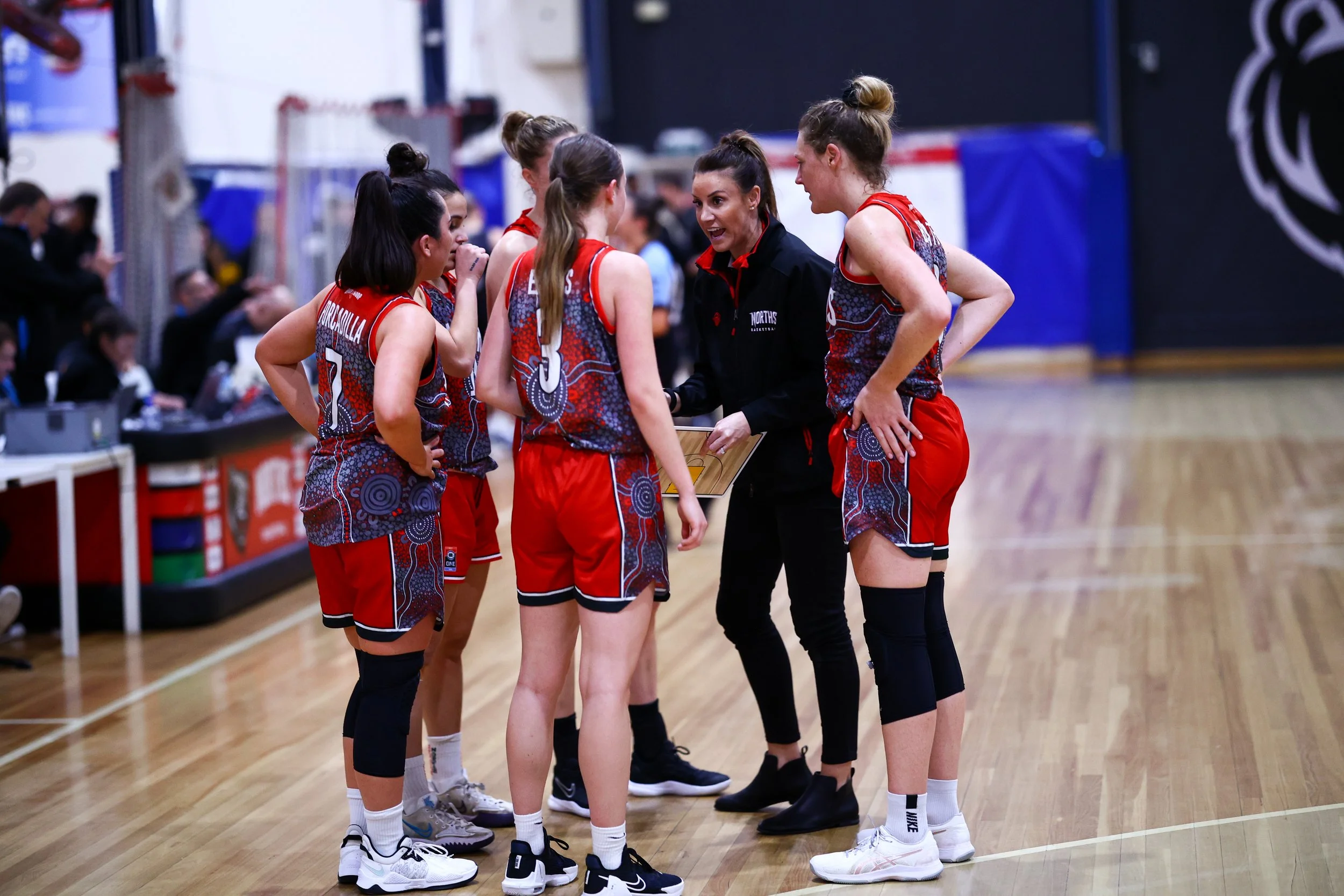 NBL1 Platinum Membership — Northern Suburbs Basketball Association