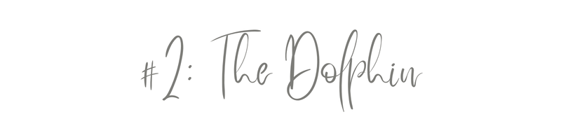 10 Animals That Symbolize Joy — The Joyfilled Seeker