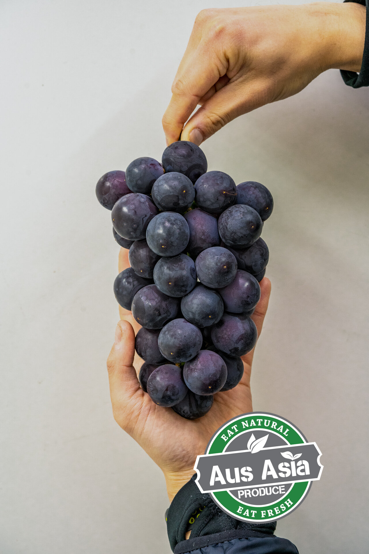 Kyoho Grape — Aus Asia Produce