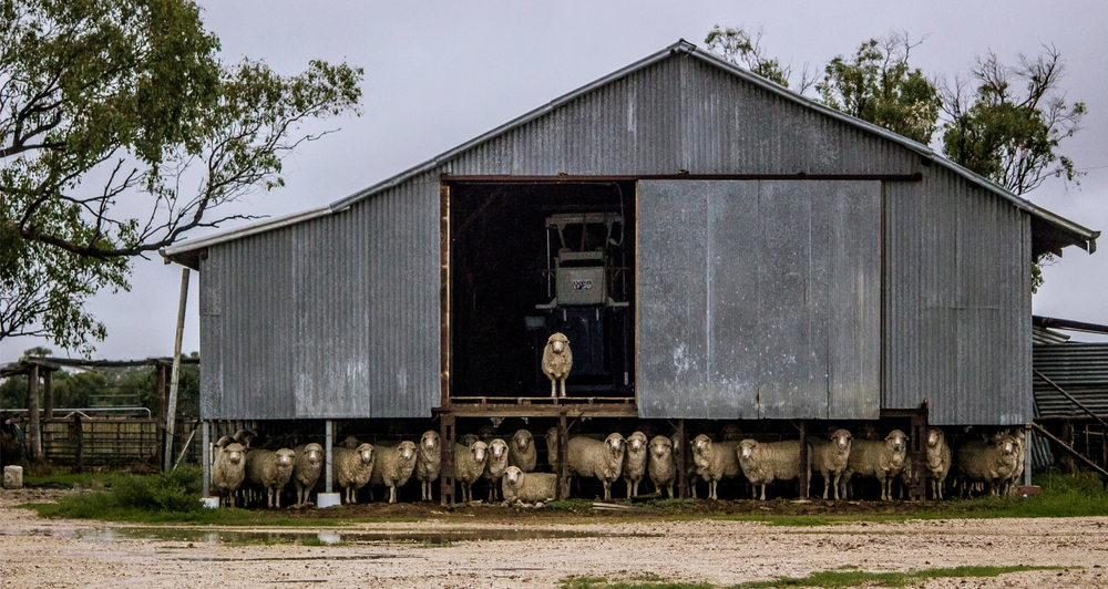 General 2 — Kinross Woolshed Hotel Albury