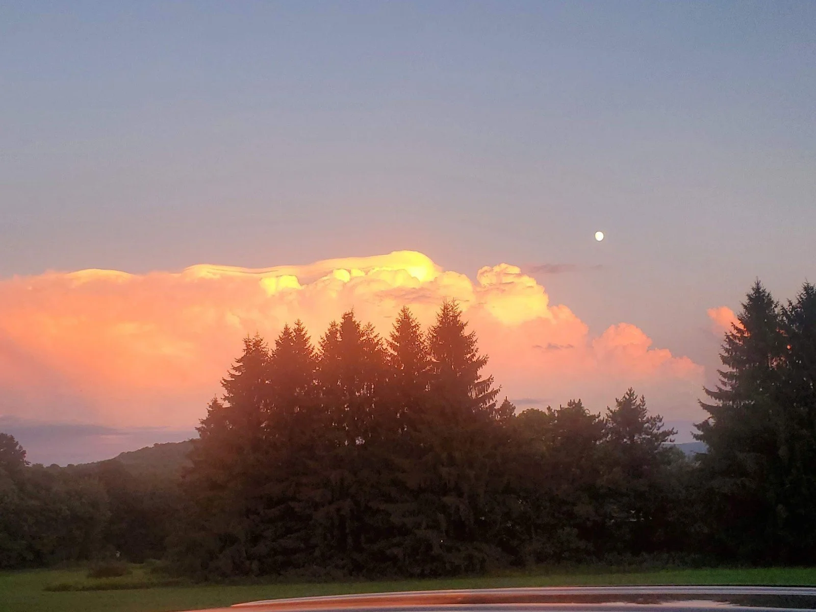 photo gallery — Dutton Veterinary Services PLLC