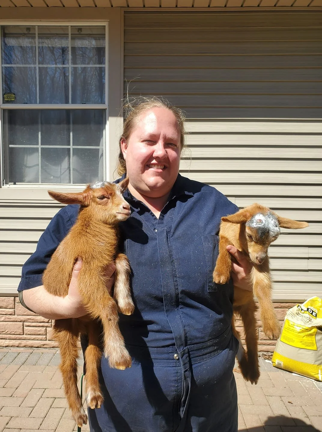 photo gallery — Dutton Veterinary Services PLLC