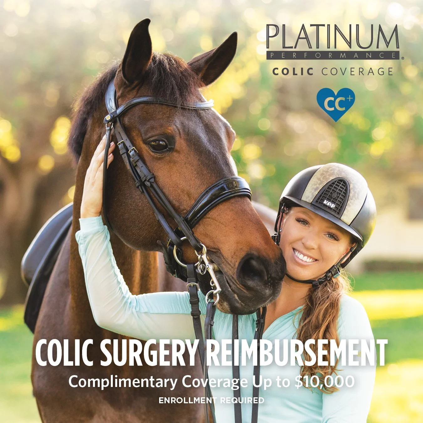 Nutrition — Dutton Veterinary Services PLLC