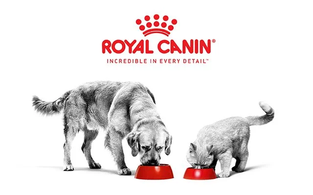 Nutrition — Dutton Veterinary Services PLLC