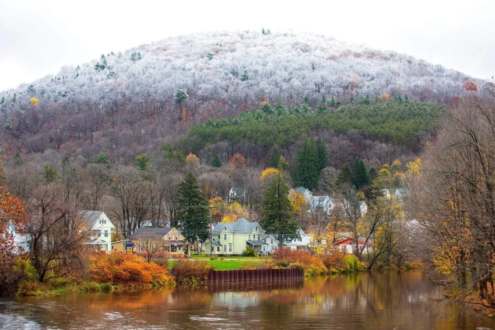 Dutton Veterinary Services PLLC