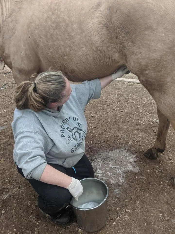 photo gallery — Dutton Veterinary Services PLLC