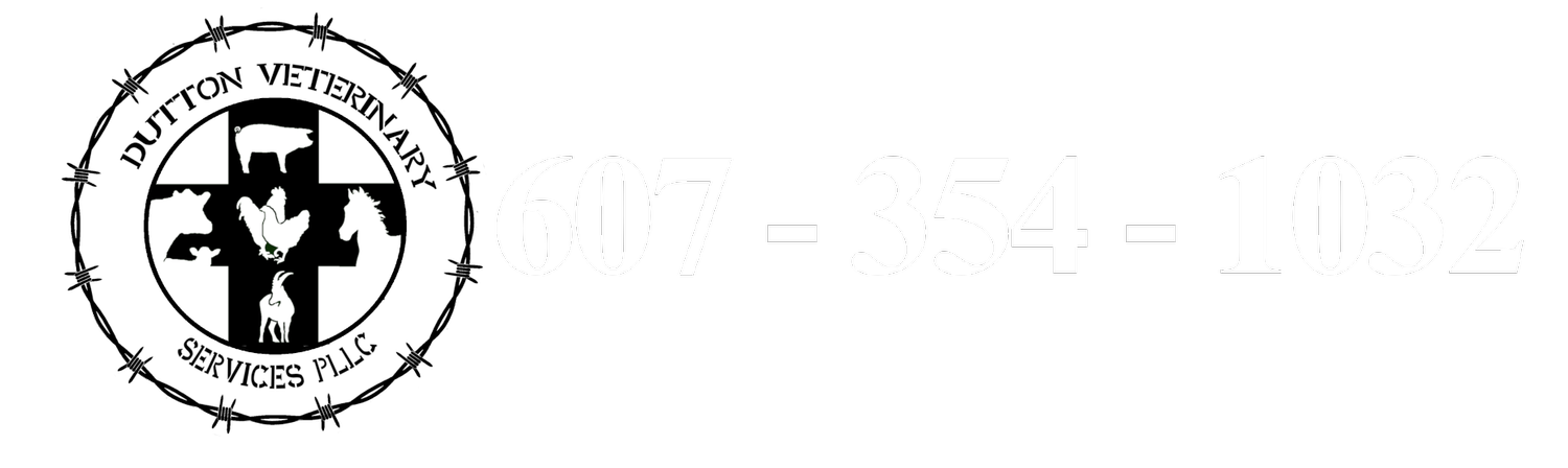 Dutton Veterinary Services PLLC