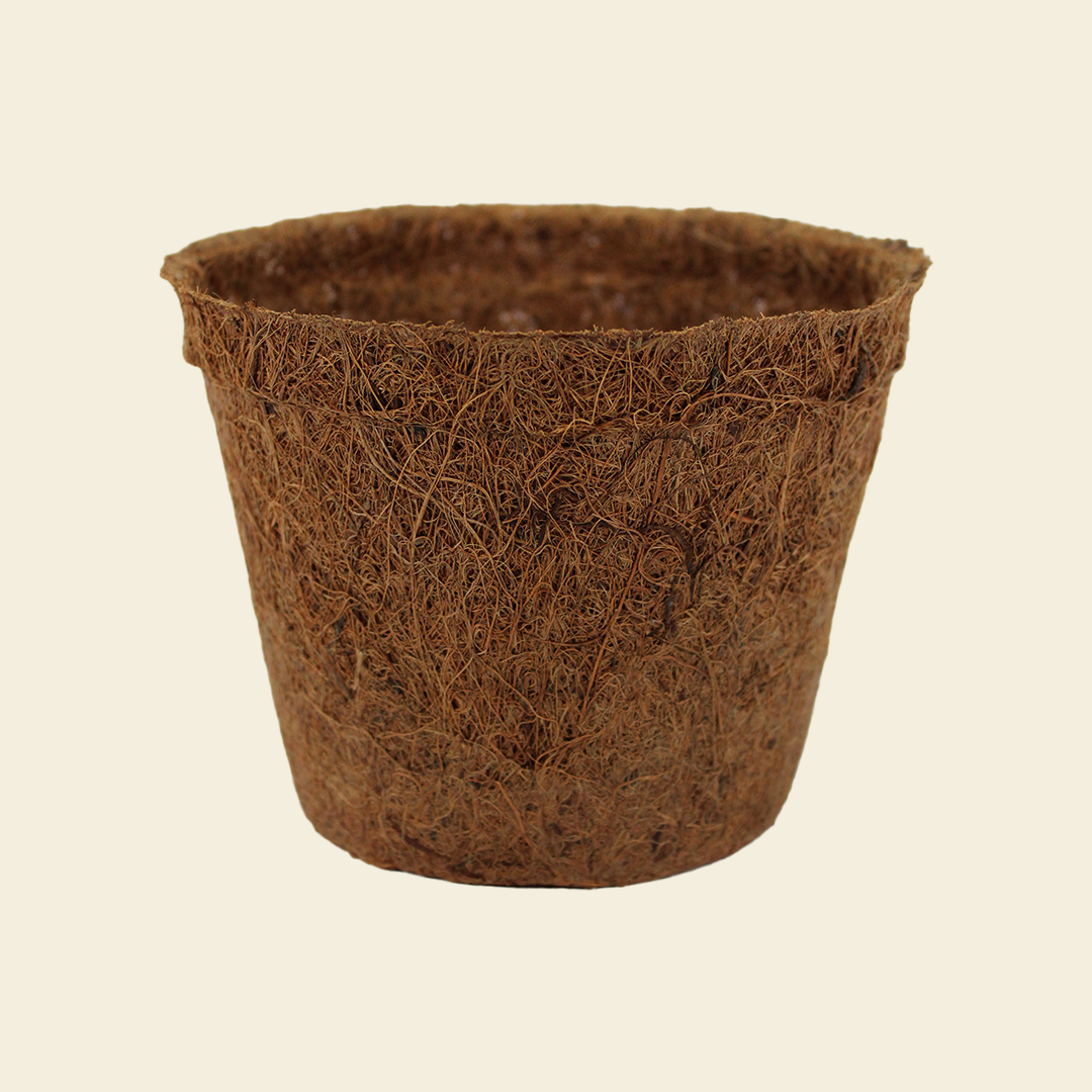 repotting — nice things