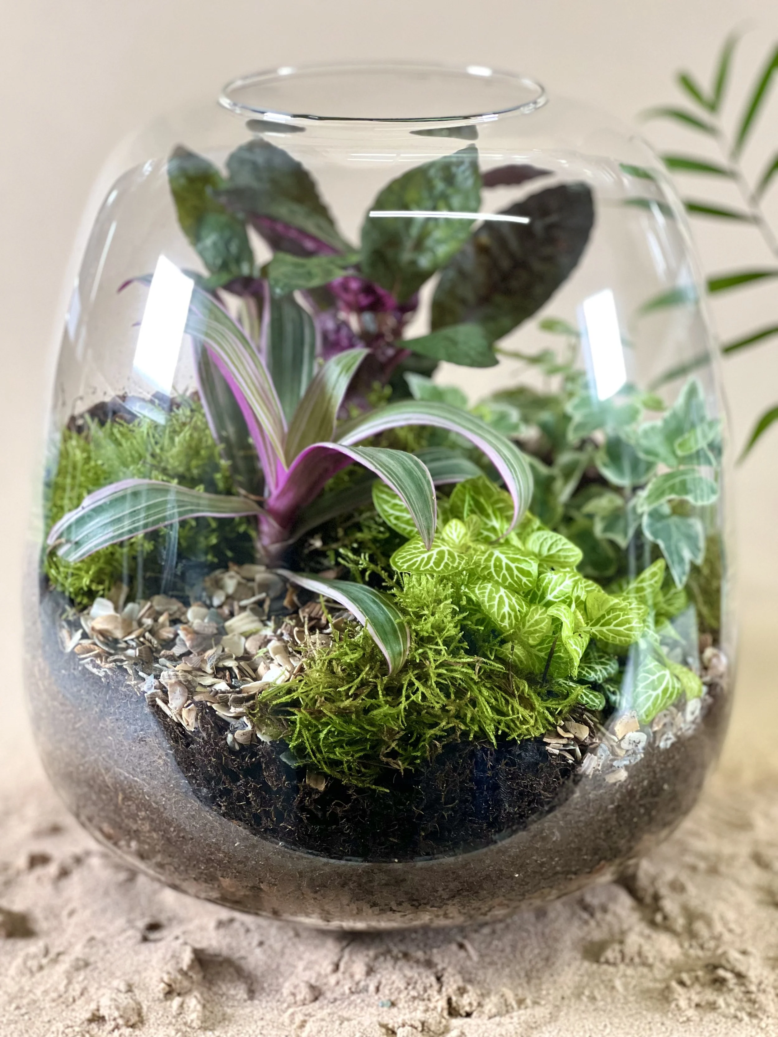 terrarium workshops — nice things