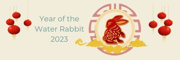 What does Yin Water Rabbit bring us in 2023? — Bing's Natural Health